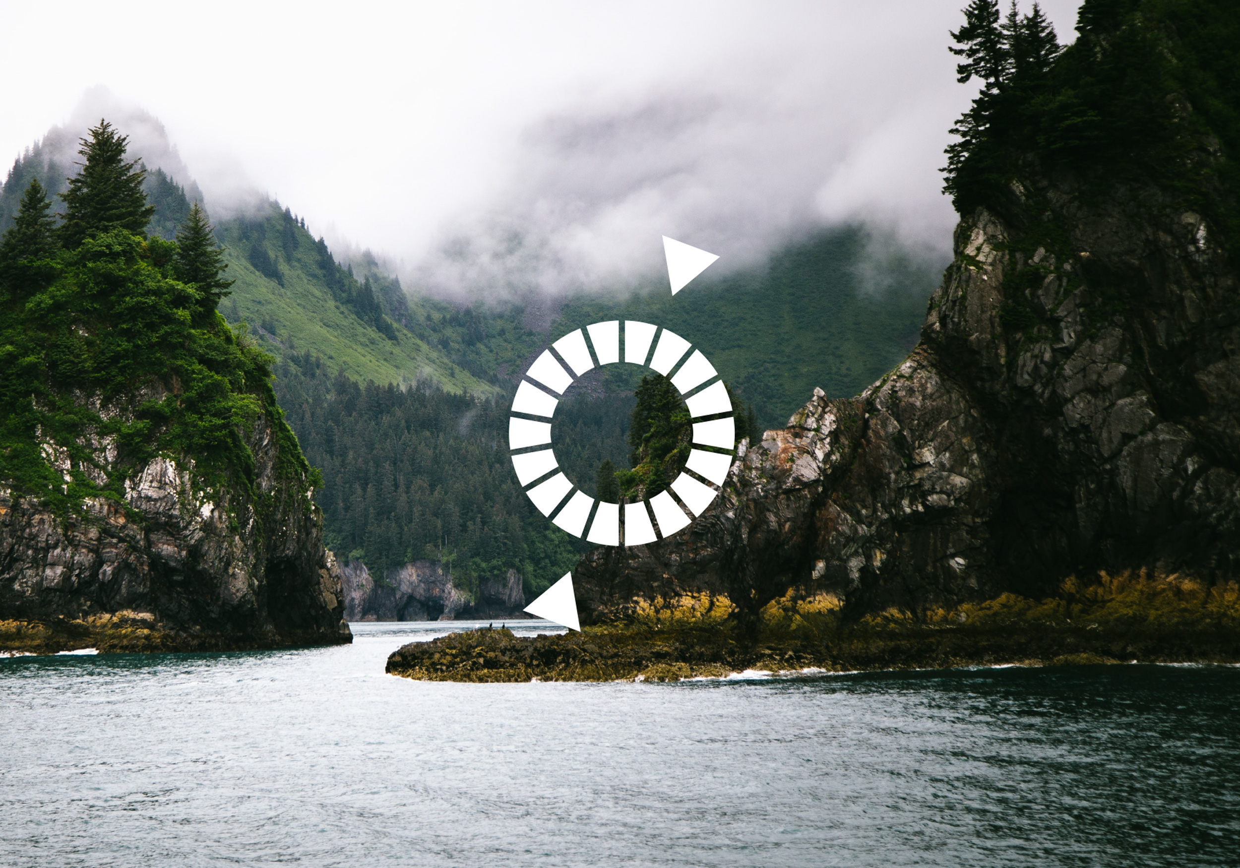 Pelorus - Nomis Creative