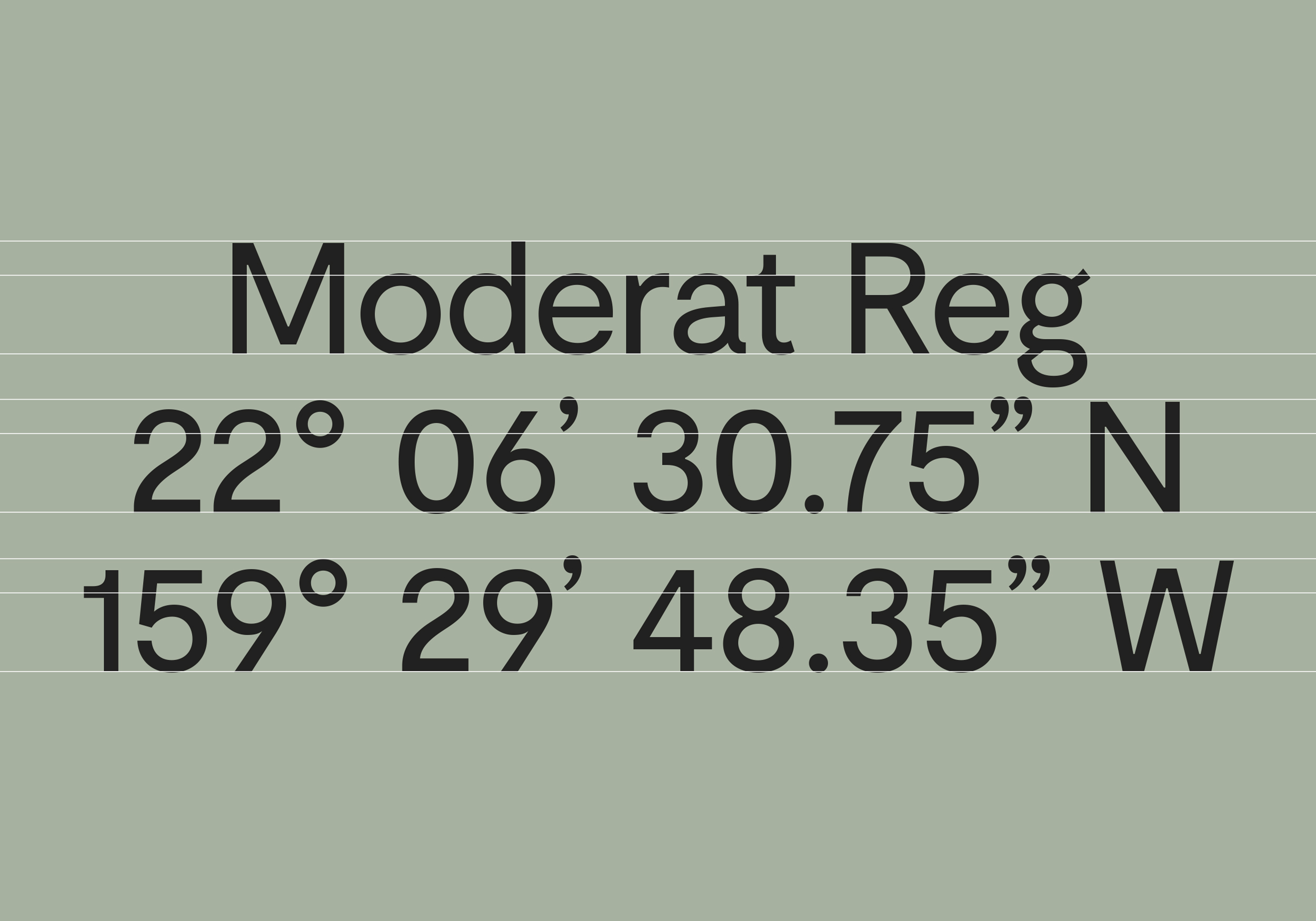 Pelorus - Nomis Creative